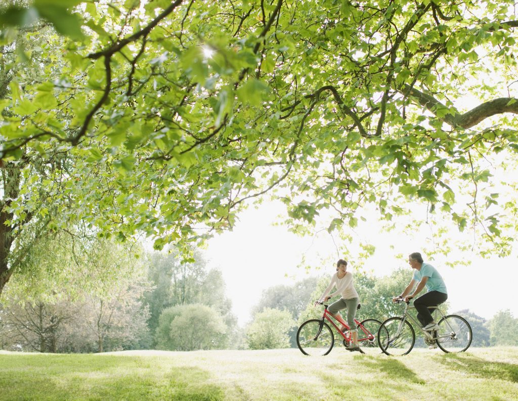 Bikes – CycleWand Brighton and Hove Bikes